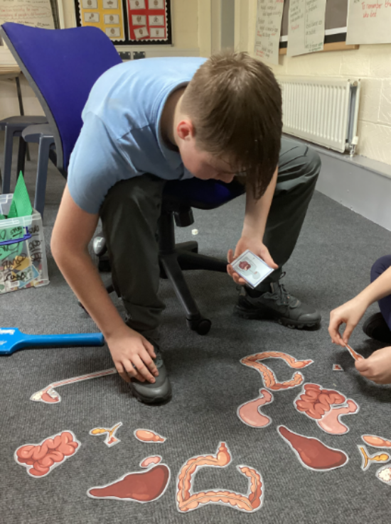 Spring Brook Academy - Science with Henley and Josh