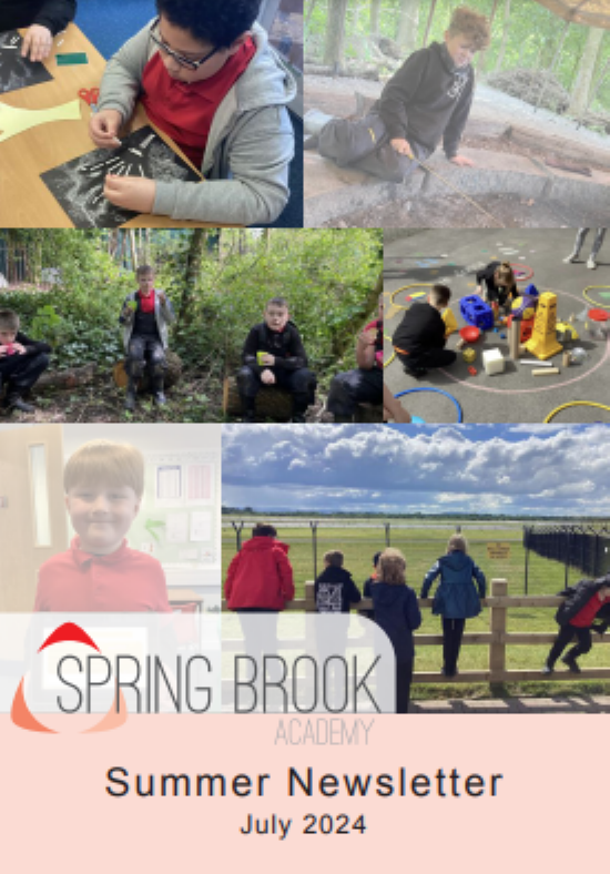 Spring Brook Academy - Spring Brook Lower Summer Newsletter July 2024