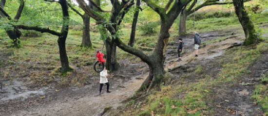 Spring Brook Academy - Staley Brook