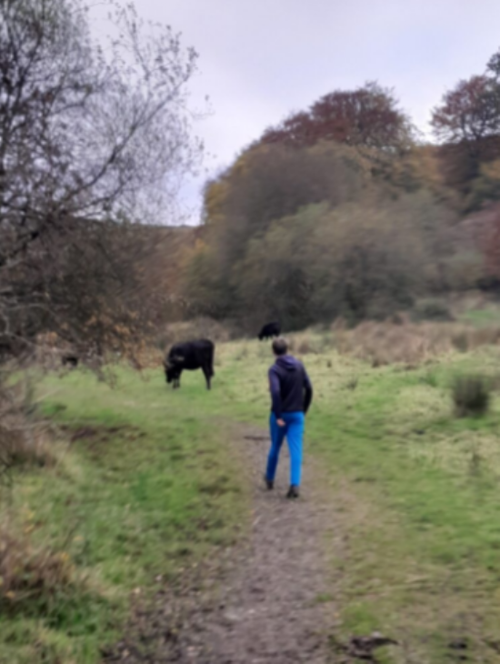 Spring Brook Academy - An Update from Mr Hopkins 251024