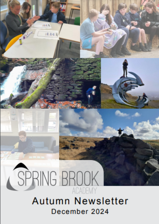 Spring Brook Academy - Spring Brook Upper - Autumn Newsletter (December 2024)