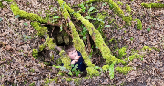 Spring Brook Academy - An Update from Mr Hopkins 6325