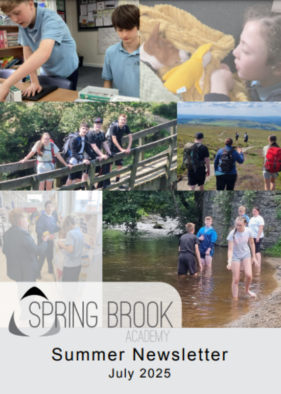 Spring Brook Academy - Spring Brook Upper Summer Newsletter July 2025